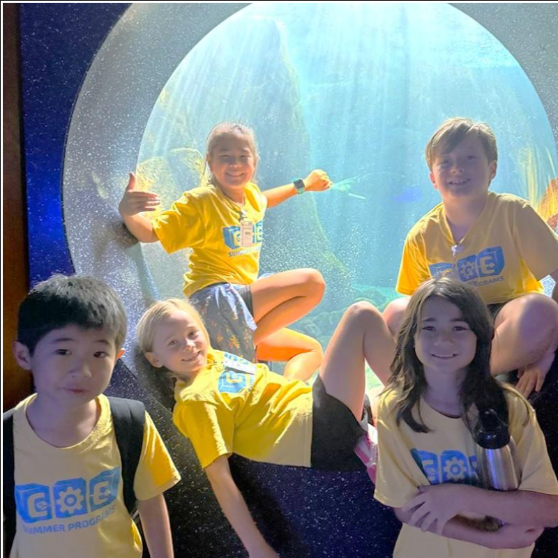 COE SP Weekly Posts - COE Summer Programs | University of Hawai‘i at Mānoa