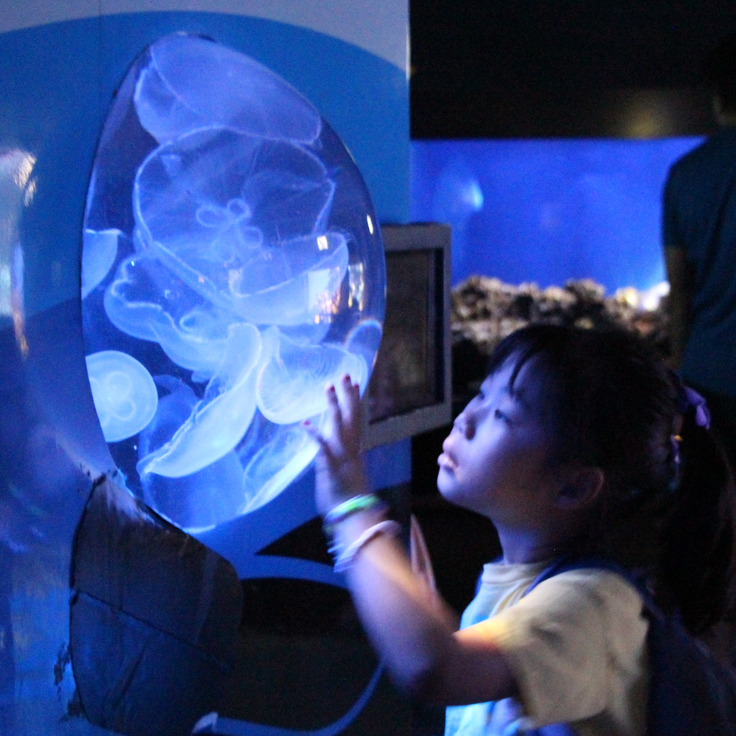 [Week 05] Morning Programs - COE Summer Programs | University of Hawai‘i at Mānoa